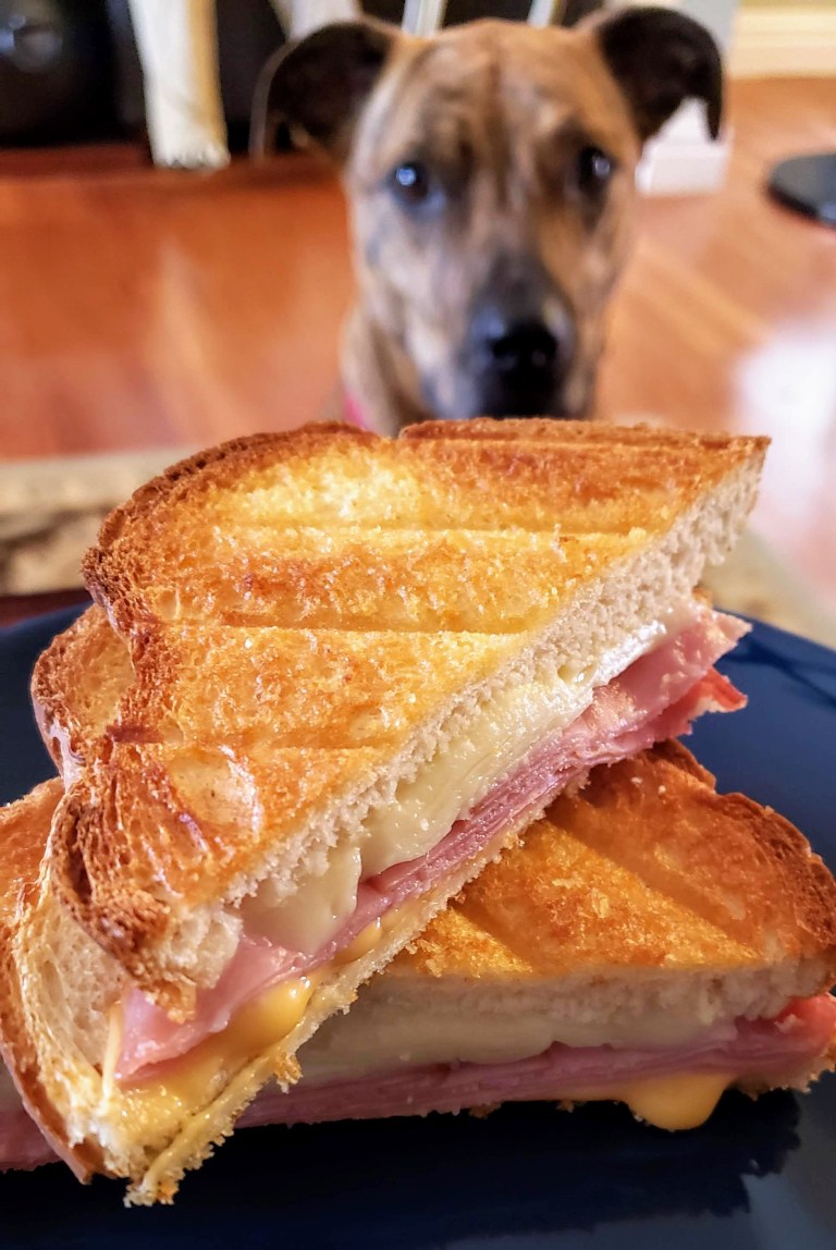 Instant Vortex Plus/Omni/Omni Plus Grilled Cheese/Ham and Cheese – Lana ...